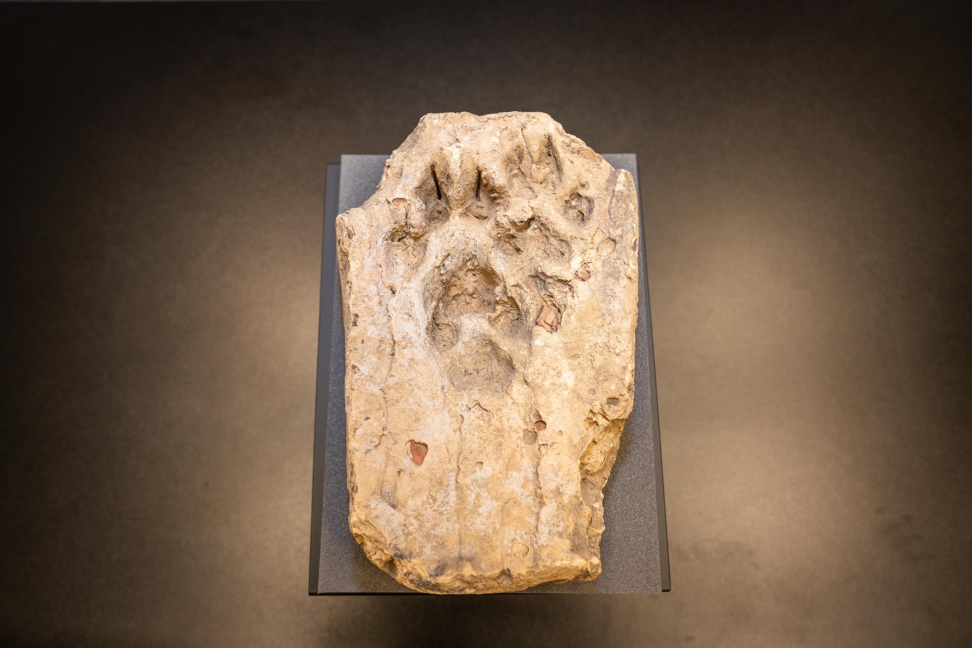 Prasideda ketvirtasis paskaitų ciklas „Istorijos miestui ir pasauliui ...